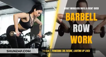 Back Extensions: Targeted Muscles And Benefits For Core Strength | CyVigor