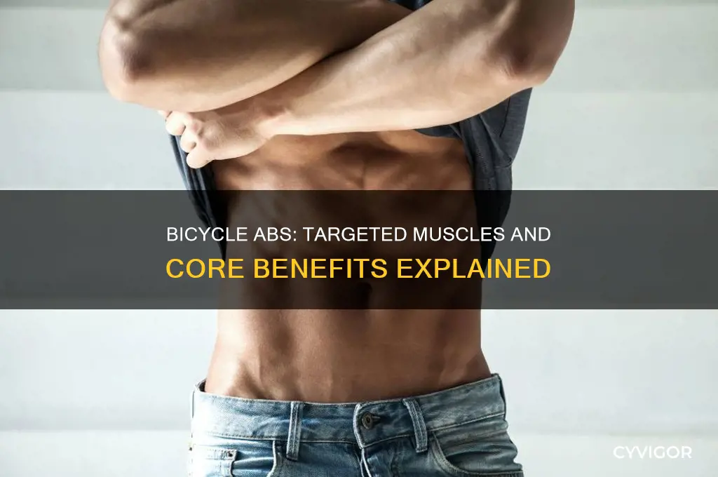 Bicycle Abs: Targeted Muscles And Core Benefits Explained | CyVigor
