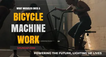 Back Extensions: Targeted Muscles And Benefits For Core Strength | CyVigor