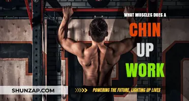 Cubii Workout Benefits: Targeted Muscles And Toning Explained | CyVigor