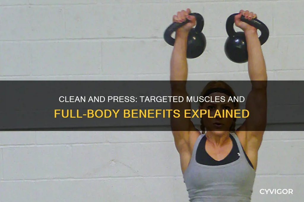 Clean And Press: Targeted Muscles And Full-Body Benefits Explained ...