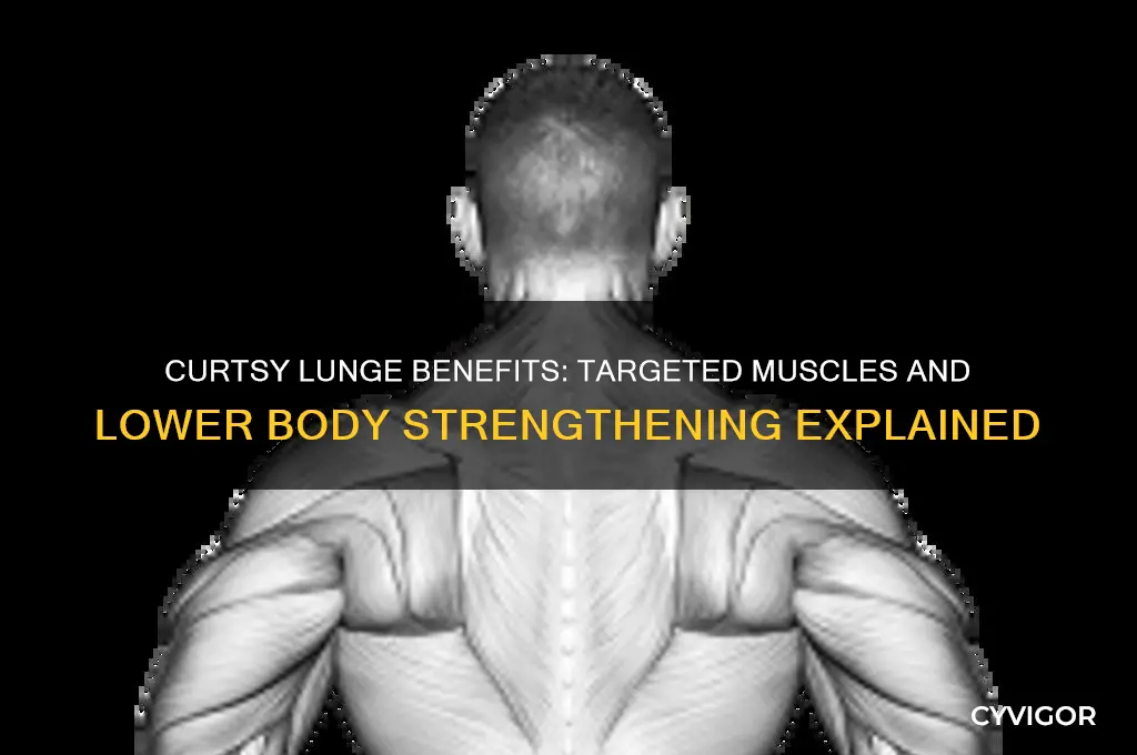 Curtsy Lunge Benefits: Targeted Muscles And Lower Body Strengthening ...
