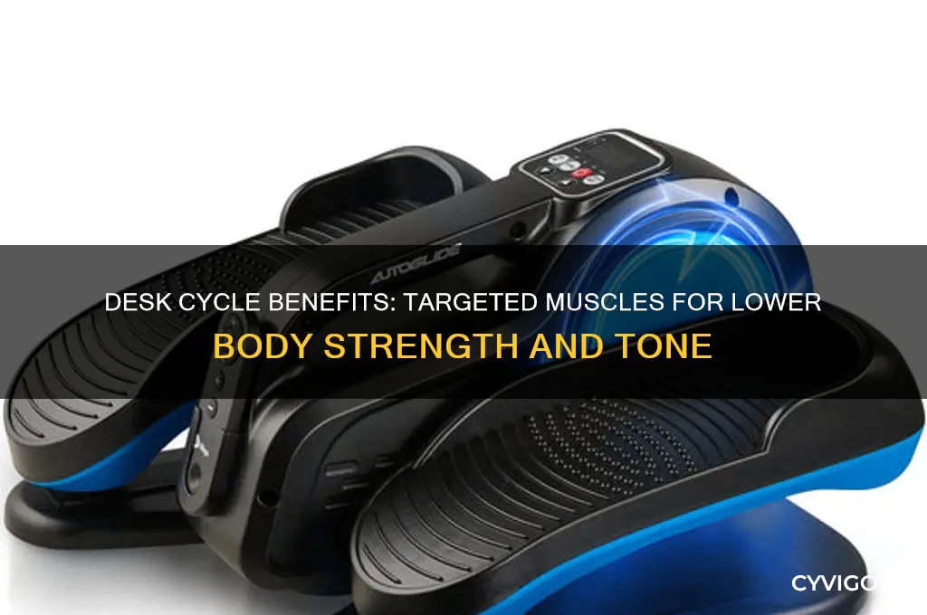 Desk Cycle Benefits: Targeted Muscles For Lower Body Strength And Tone ...