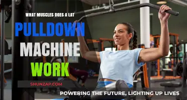 Low Row Workout: Targeted Muscles And Strength Benefits Explained | CyVigor