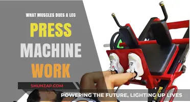 Low Row Workout: Targeted Muscles And Strength Benefits Explained | CyVigor