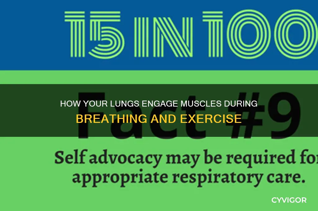 How Your Lungs Engage Muscles During Breathing And Exercise | CyVigor