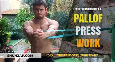 Overhead Press Muscles: Targeted Strength Training For Shoulders And ...
