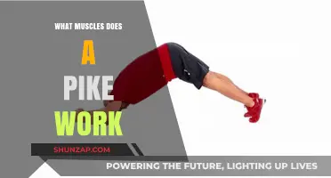 Power Twister Workout: Targeted Muscles And Strength Benefits Explained ...