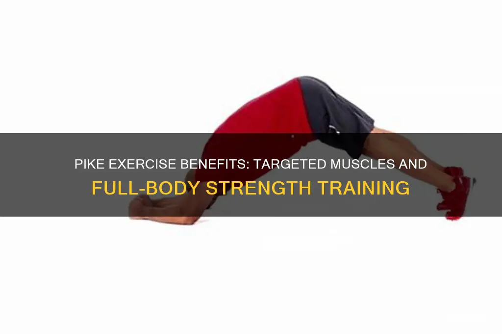 Pike Exercise Benefits: Targeted Muscles And Full-Body Strength ...