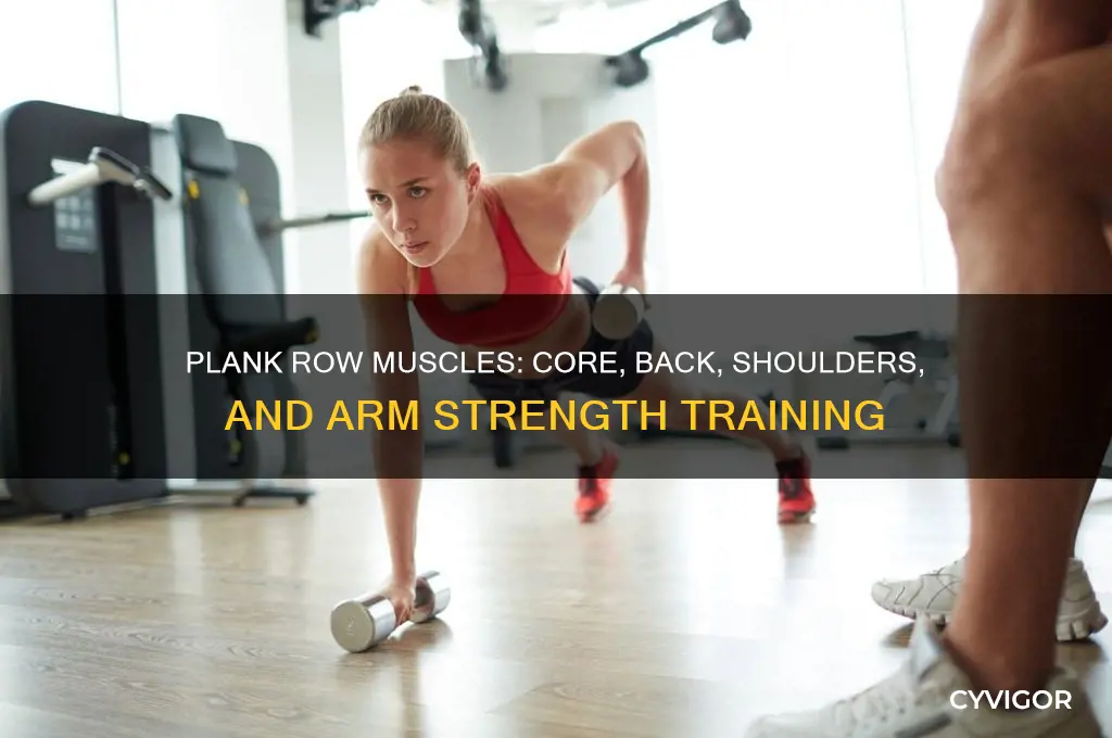 Plank Row Muscles: Core, Back, Shoulders, And Arm Strength Training ...