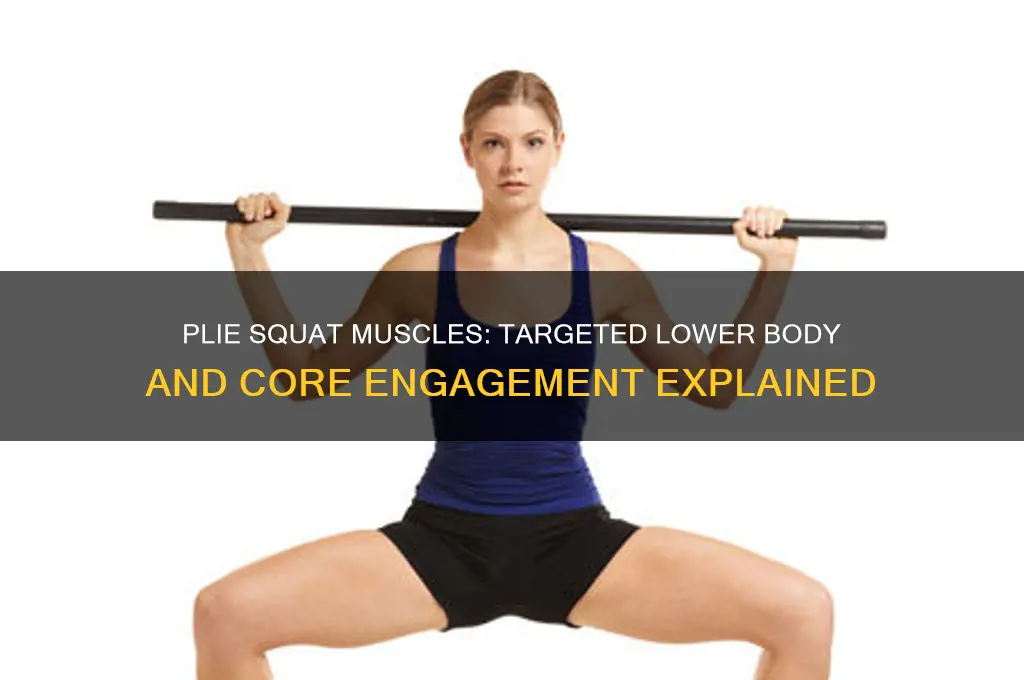 Plie Squat Muscles: Targeted Lower Body And Core Engagement Explained ...