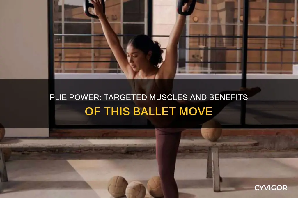 Plie Power: Targeted Muscles And Benefits Of This Ballet Move | CyVigor