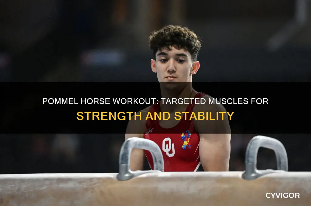 Pommel Horse Workout: Targeted Muscles For Strength And Stability | CyVigor