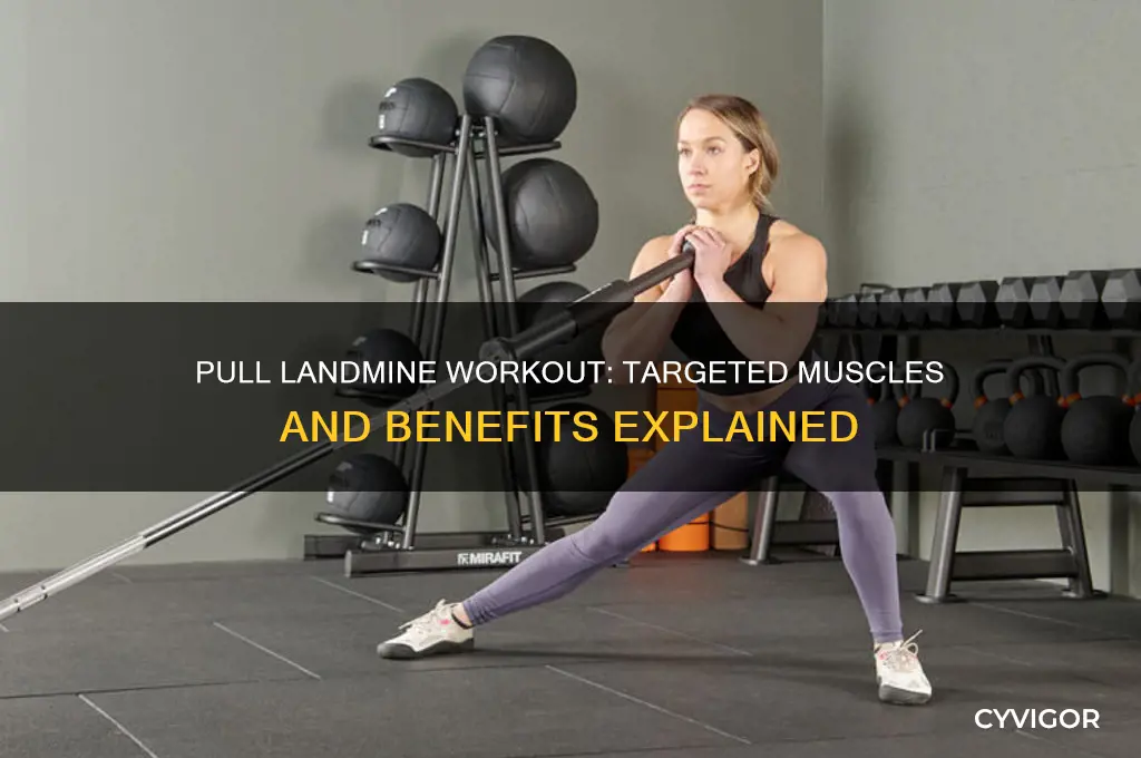 Pull Landmine Workout: Targeted Muscles And Benefits Explained | CyVigor
