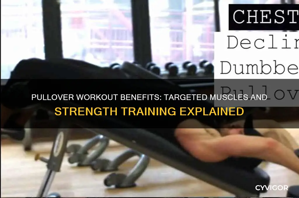Pullover Workout Benefits: Targeted Muscles And Strength Training ...