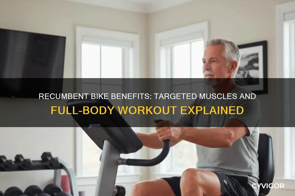 Recumbent Bike Benefits: Targeted Muscles And Full-Body Workout ...