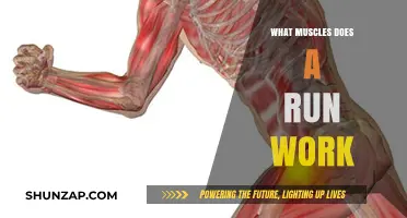 Skull Crushers: Targeted Muscles And Effective Triceps Workout ...