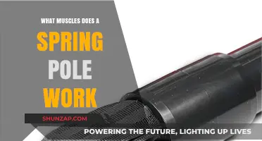 Split Squat Muscles: Targeted Lower Body Activation Explained | CyVigor