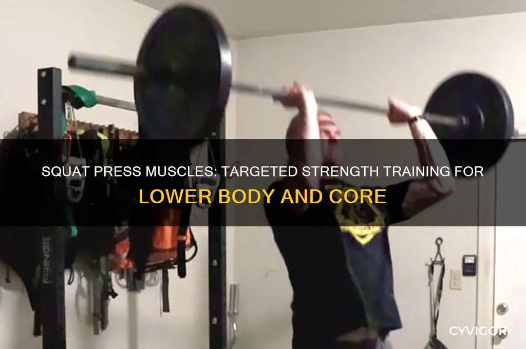 Squat Press Muscles: Targeted Strength Training For Lower Body And Core ...