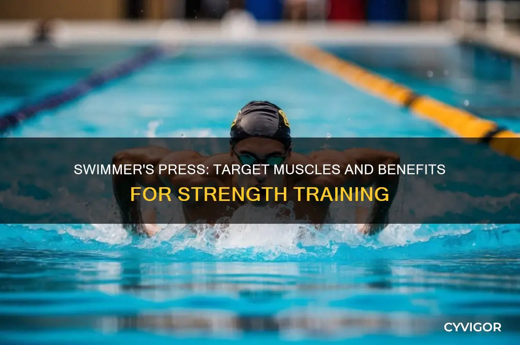 Swimmer's Press: Target Muscles And Benefits For Strength Training ...