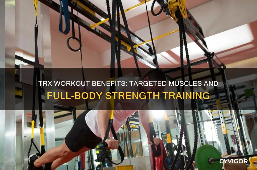 Trx Workout Benefits: Targeted Muscles And Full-Body Strength Training ...