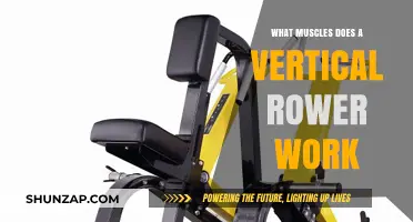 Arc Trainer Benefits: Target Muscles And Full-Body Workout Explained ...