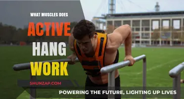 Thigh Master Workout: Targeted Muscles And Toning Benefits Explained ...