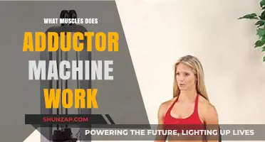 Abductor Machine Muscles: Targeted Workout For Stronger Hips And Glutes ...
