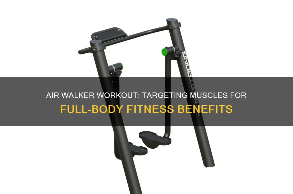 Air Walker Workout: Targeting Muscles For Full-Body Fitness Benefits ...