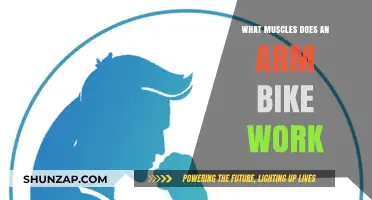 Abductor Machine Muscles: Targeted Workout For Stronger Hips And Glutes ...