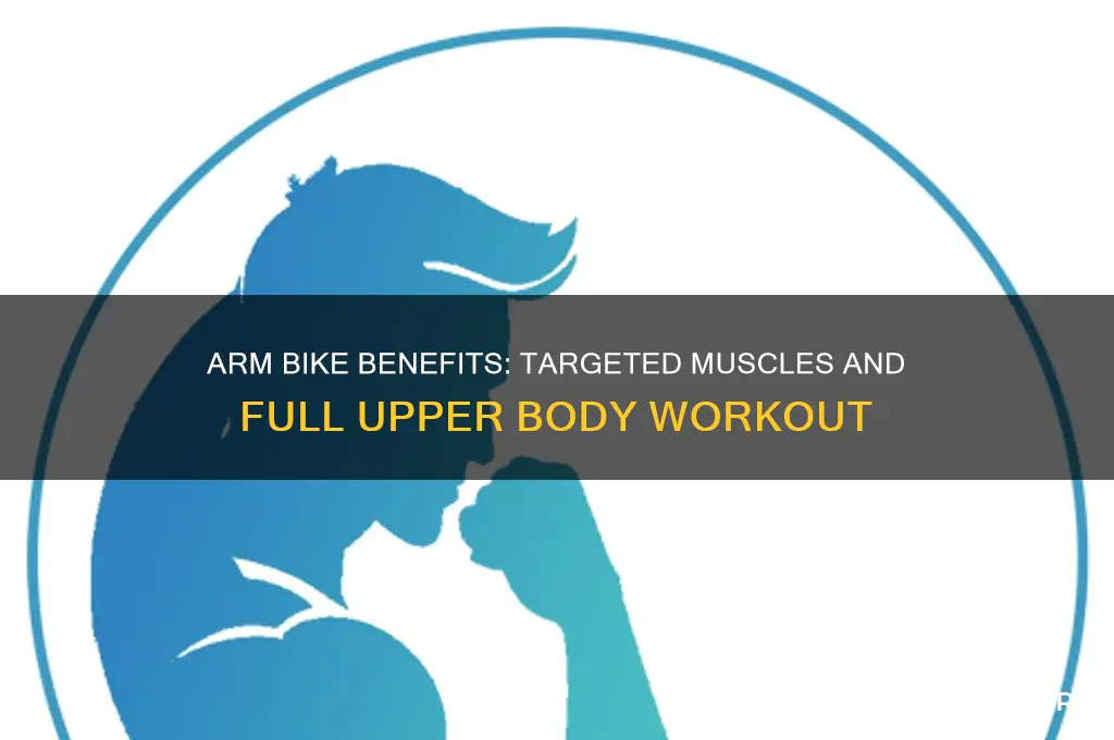 Arm Bike Benefits: Targeted Muscles And Full Upper Body Workout | CyVigor