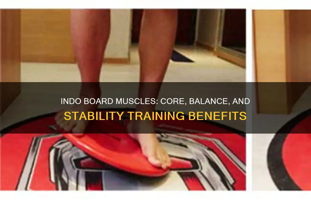 Indo Board Muscles: Core, Balance, And Stability Training Benefits ...