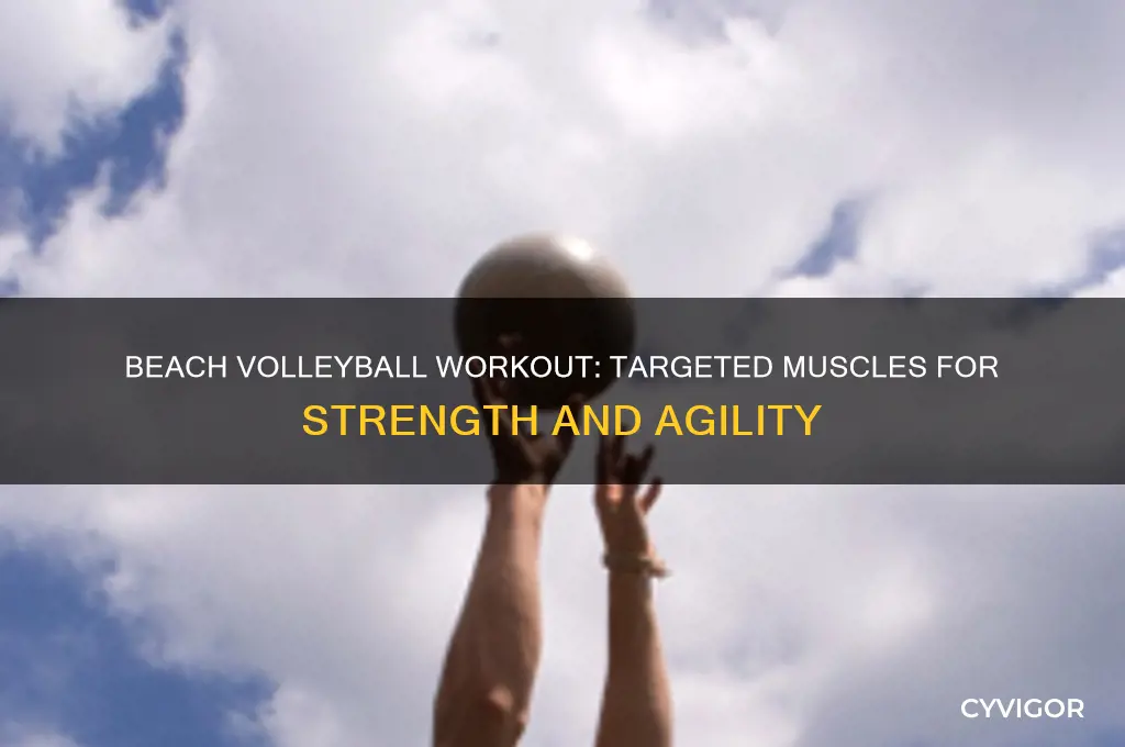 Beach Volleyball Workout: Targeted Muscles For Strength And Agility ...