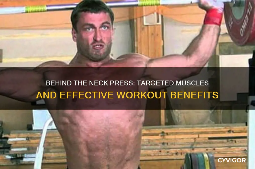 Behind The Neck Press: Targeted Muscles And Effective Workout Benefits ...