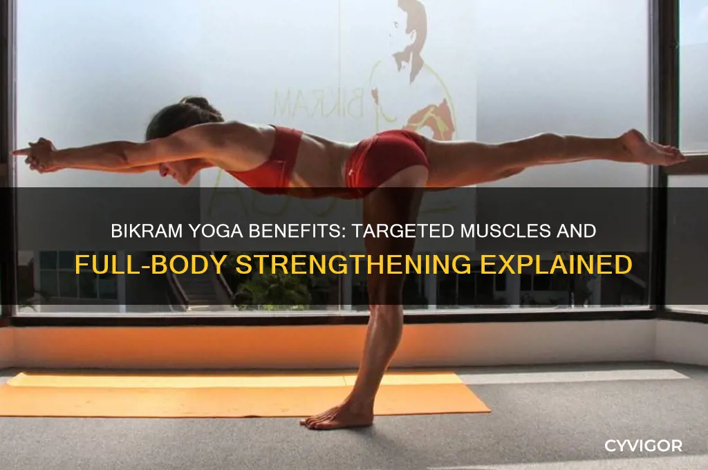 Bikram Yoga Benefits: Targeted Muscles And Full-Body Strengthening ...