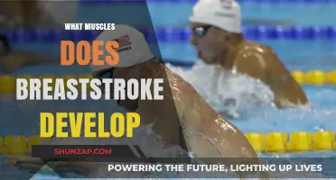 Catching Balls: Which Muscles Are Used And How? | CyVigor
