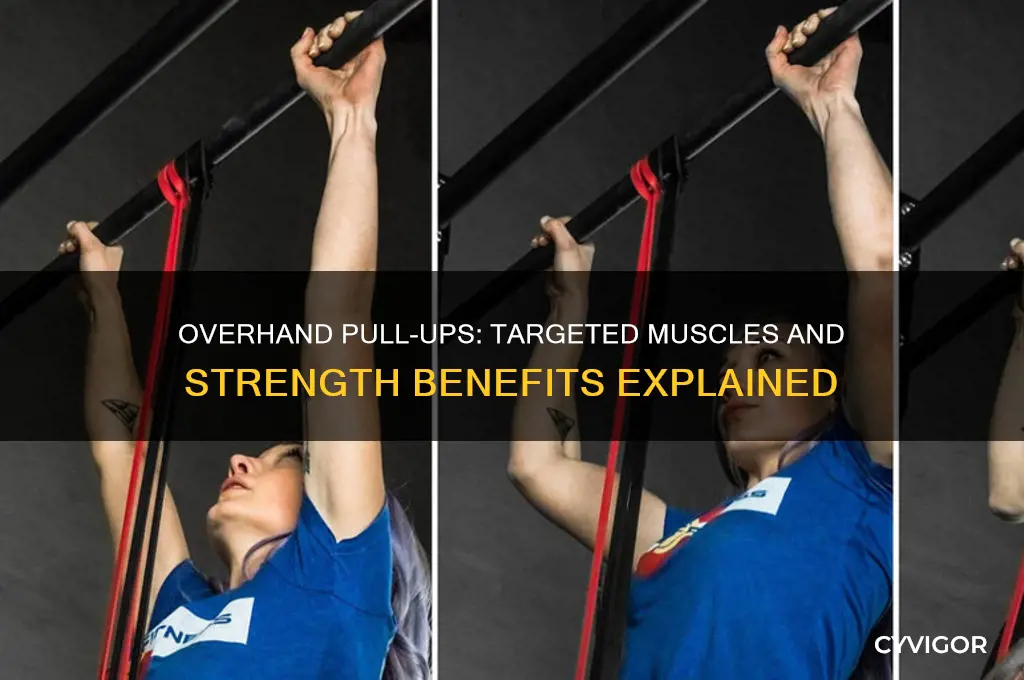 Overhand Pull-Ups: Targeted Muscles And Strength Benefits Explained ...