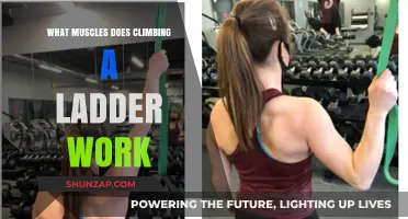 Climbing Stairs: A Full-Body Workout Targeting Key Muscle Groups | CyVigor