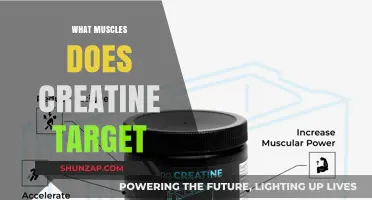 L3 Nerve: The Muscles It Controls And Why It Matters | CyVigor