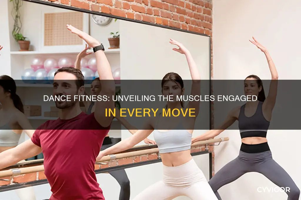 Dance Fitness: Unveiling The Muscles Engaged In Every Move | CyVigor