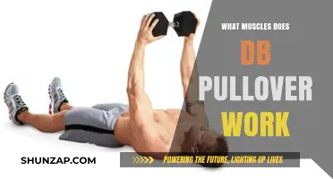 Dumbbell Pullover Muscles: Targeted Benefits And Workout Guide | CyVigor