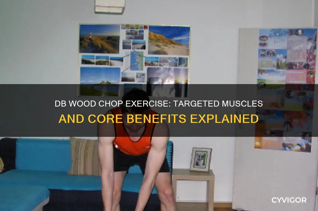 Db Wood Chop Exercise: Targeted Muscles And Core Benefits Explained ...