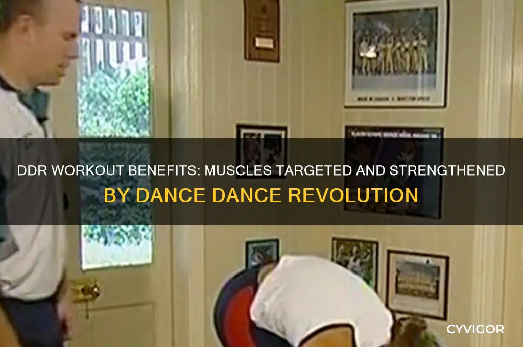 Ddr Workout Benefits: Muscles Targeted And Strengthened By Dance Dance ...