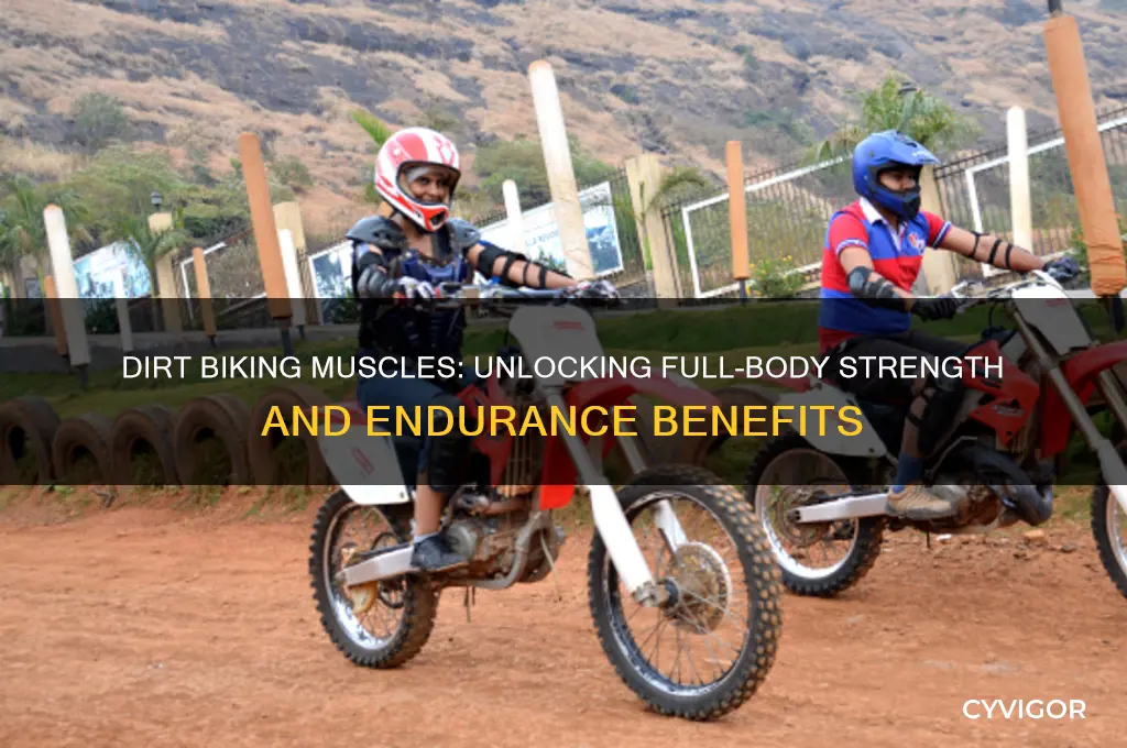 Dirt Biking Muscles: Unlocking Full-Body Strength And Endurance ...