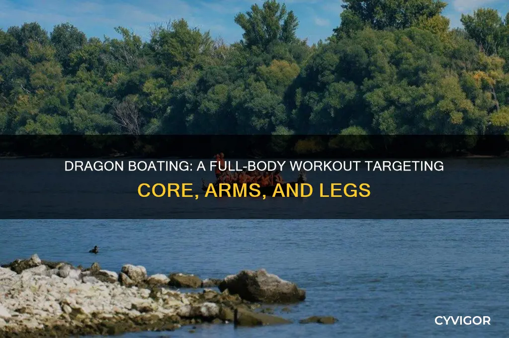 Dragon Boating: A Full-Body Workout Targeting Core, Arms, And Legs ...