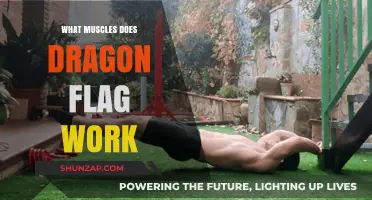 Dragon Flag Workout: Targeted Muscles And Core Strength Benefits | CyVigor