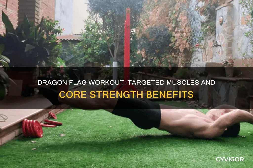 Dragon Flag Workout: Targeted Muscles And Core Strength Benefits | CyVigor