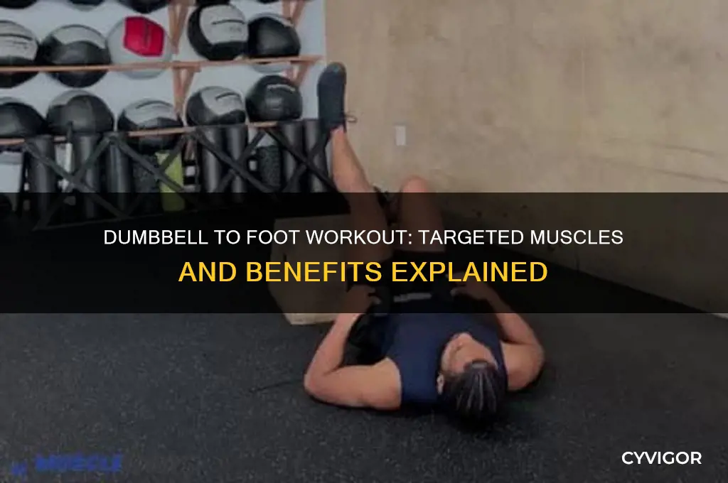 Dumbbell To Foot Workout: Targeted Muscles And Benefits Explained | CyVigor