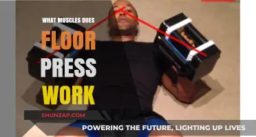 Erging Benefits: Targeted Muscles And Full-Body Workout Explained | CyVigor