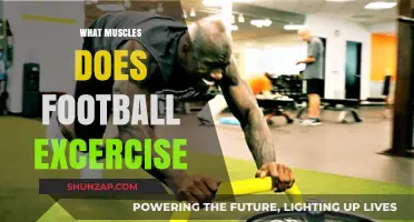 C4 Innervates These Muscles: A Comprehensive Guide | CyVigor